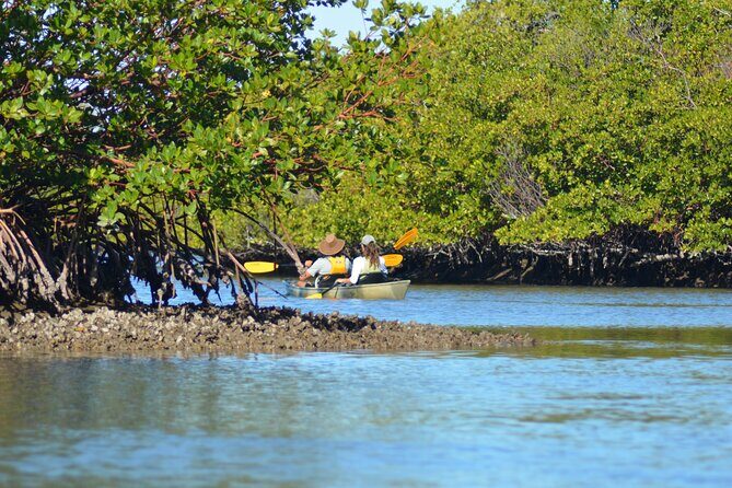Marco Island Mangrove Tunnel and Maze Adventure Small group size - Practical Tips for Travelers