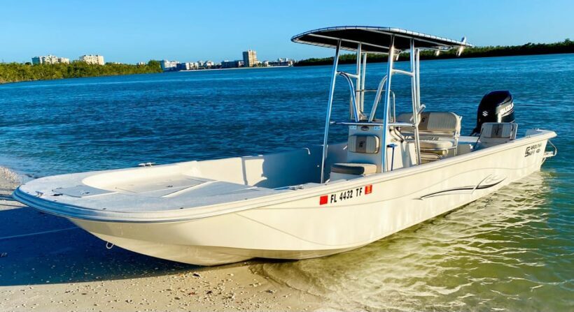 Marco Island: Private Shelling & Dolphin Excursion - Key Points