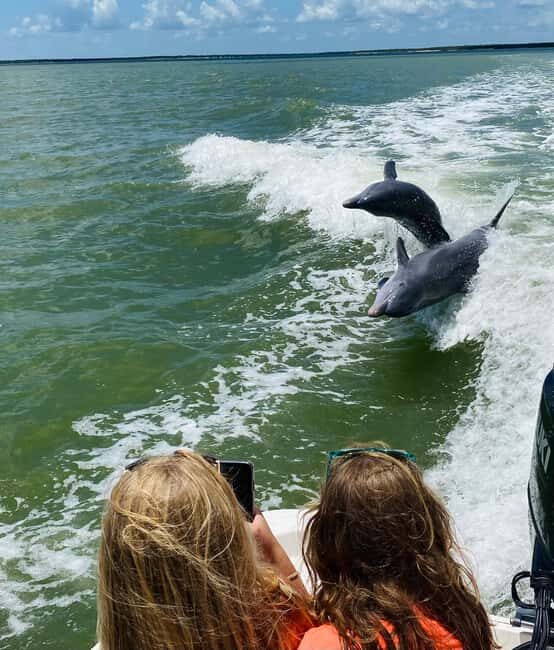Marco Island: Private Shelling & Dolphin Excursion - The Sum Up