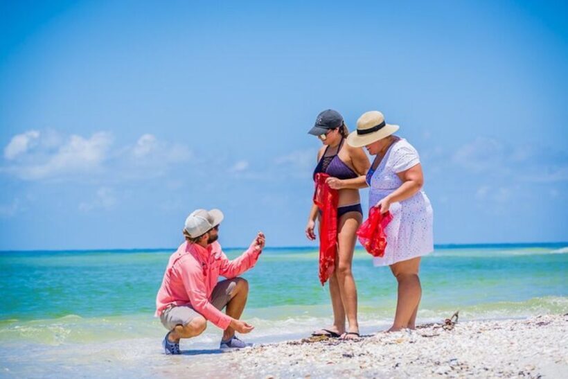 Marco Island: Shelling and Sightseeing Boat Cruise - The Detailed Itinerary and What to Expect