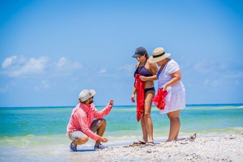 Marco Island: Shelling and Sightseeing Boat Cruise - Who Is This Tour Best For?