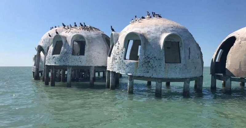 Marco Island: Ten Thousand Islands Shelling & Dolphin Tour - Key Points
