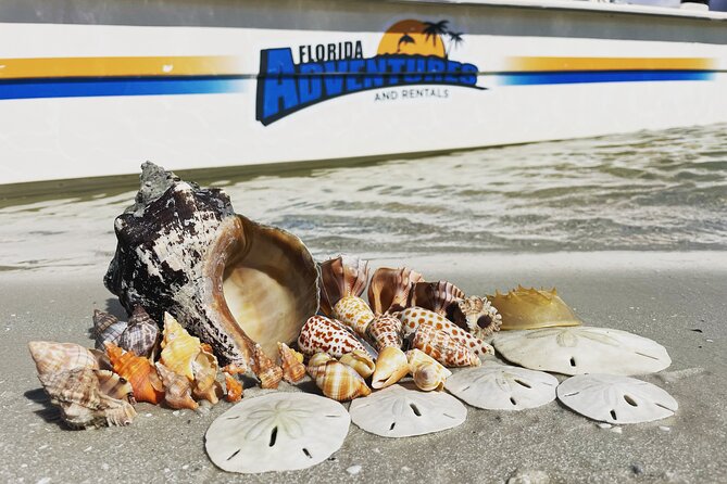 Marco Island Wildlife Sightseeing and Shelling Tour - Who Will Enjoy This Tour?