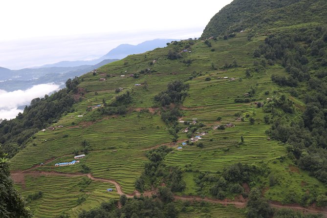 Mardi Himal Base Camp Trek (5 Days) - Day 2: Into the Forests and Upward to Badal Dhanda