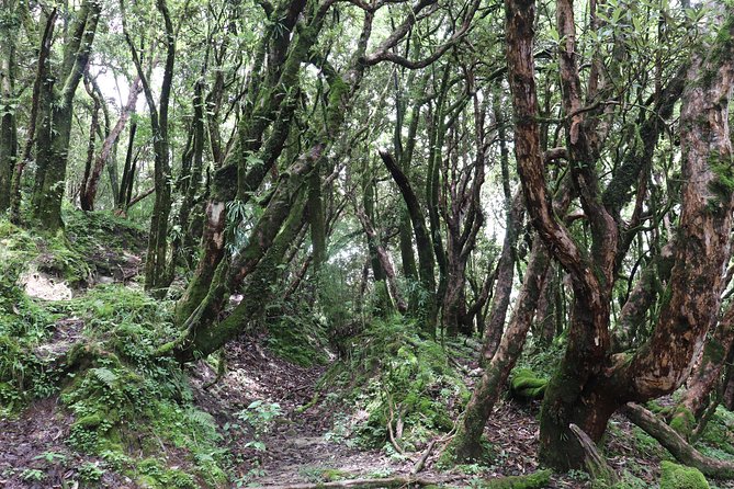 Mardi Himal Base Camp Trek (5 Days) - Day 5: Return to Pokhara