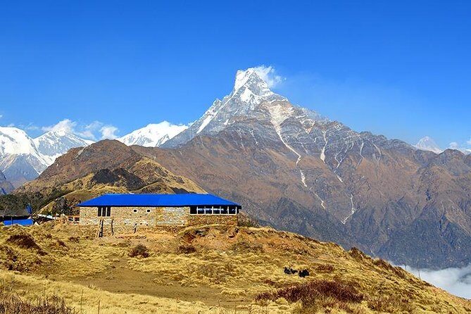 Mardi Himal Base Camp Trek - What’s Included and What’s Not