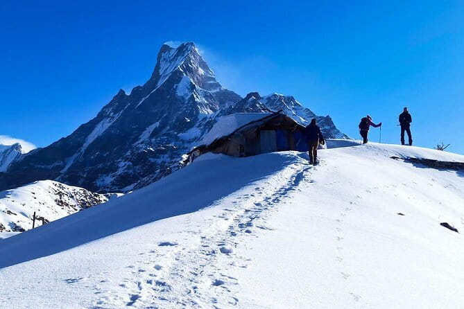 Mardi Himal Base Camp Trek from Pokhara 4 Days - What Makes This Trek Stand Out?
