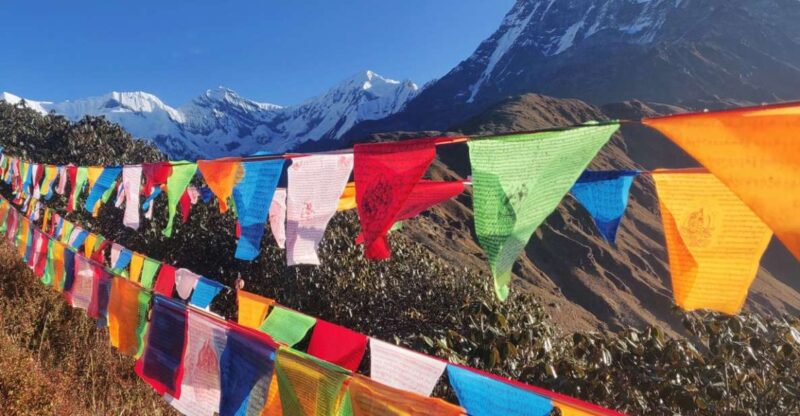 Mardi Himal Base Camp Yoga Trek 7-Day - Detailed Day-by-Day Breakdown
