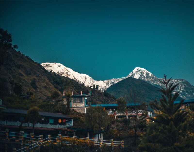 Mardi Himal Base Camp Yoga Trek 7-Day - What Makes This Trek Special?