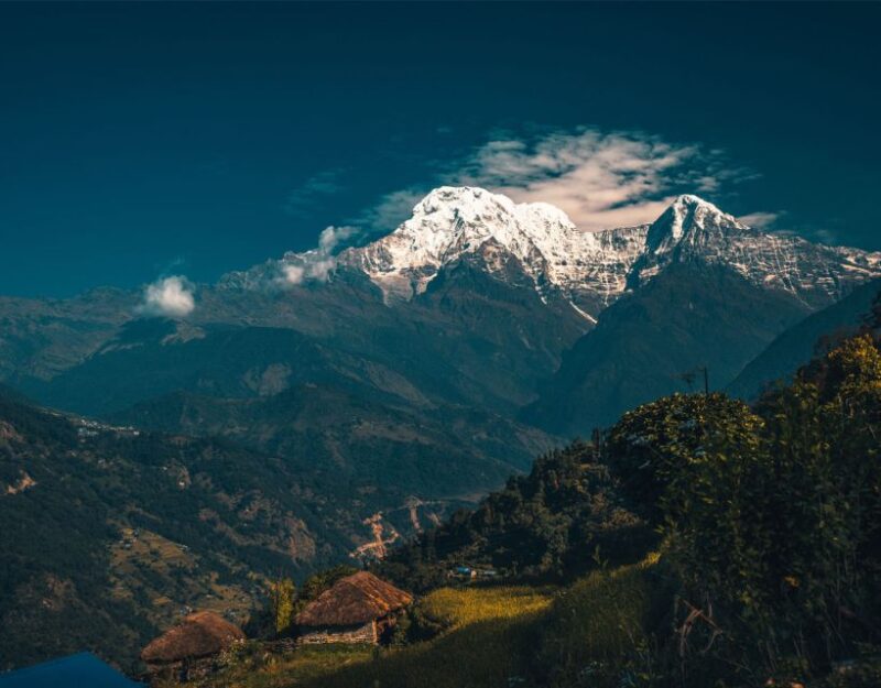 Mardi Himal Base Camp Yoga Trek 7-Day - Is This Trek Worth the Price?