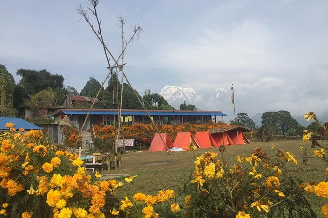 Mardi Himal - Authentic Experiences and Practical Tips