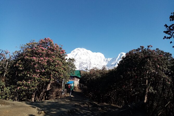 Mardi Himal Newly Discovered Trekking from Pokhara Nepal - Final Thoughts: Is This Trek Right for You?