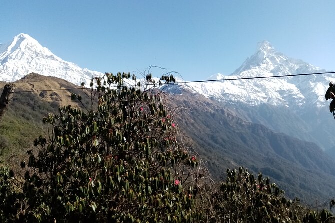 Mardi Himal Newly Discovered Trekking from Pokhara Nepal - FAQ