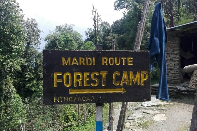 Mardi Himal Trek - 12 Days - The Trek Experience: What to Expect