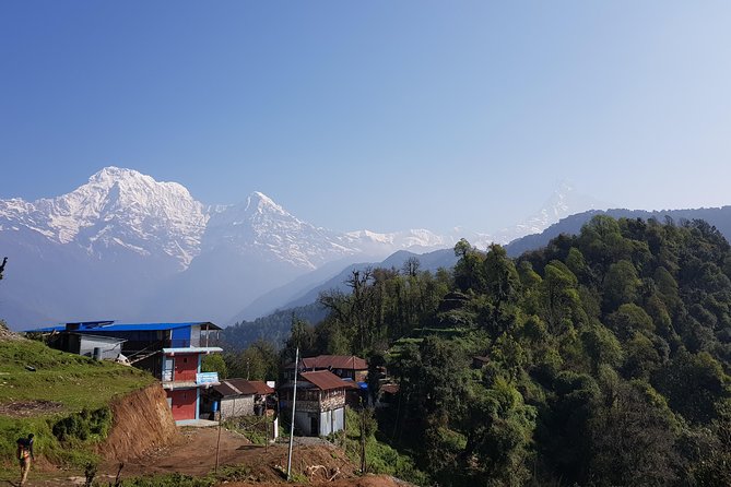 Mardi Himal Trek - Who Is This Trek Best For?