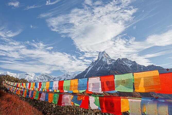 Mardi Himal Trek - Logistics and Value