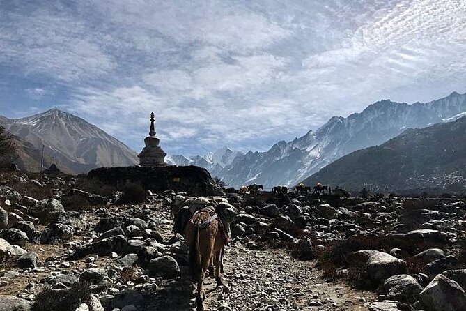 Mardi Himal Trek - What Past Travelers Say