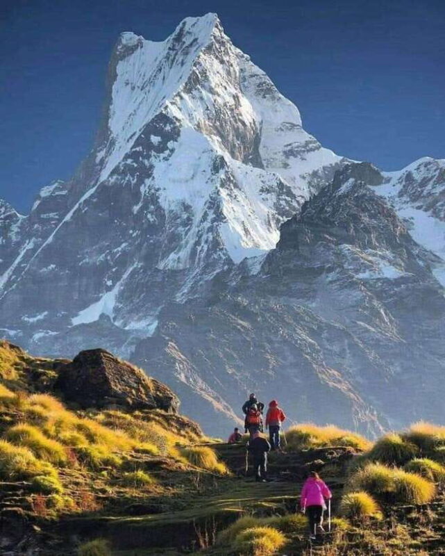 Mardi Himal Trek 9 Days - What the Trek Offers