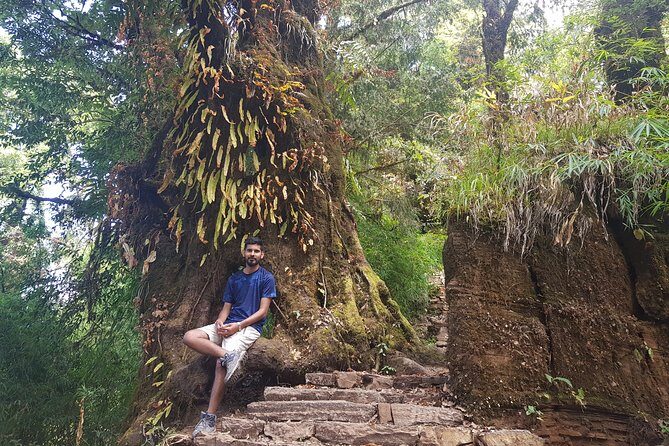 Mardi Himal Trekking - The Experience and Its Value