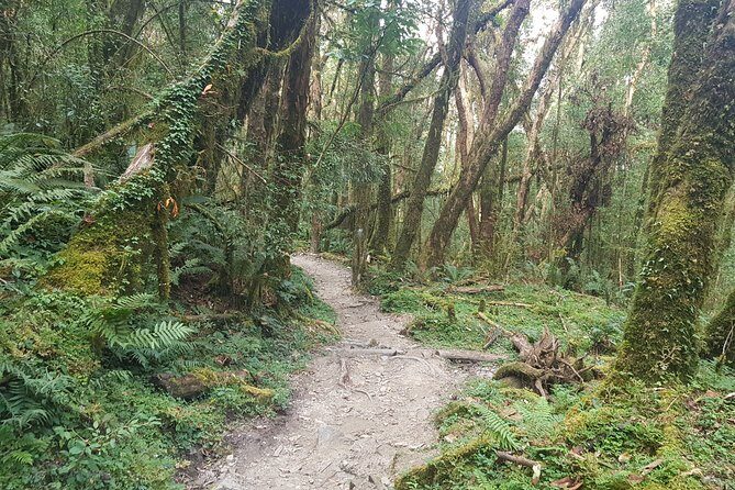 Mardi Himal Trekking - Who Will Love This Trek?