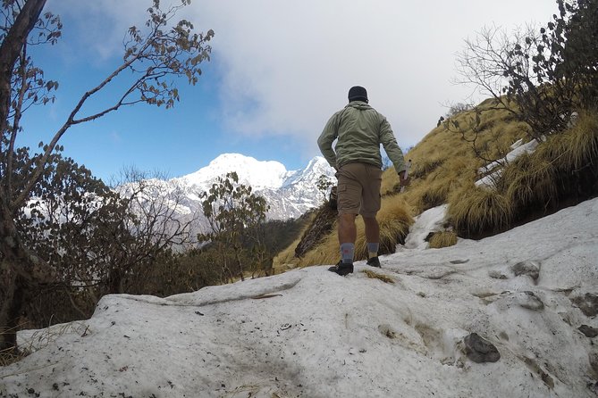 Mardi Himal Trekking - What Travelers Love: Authenticity and Views