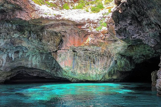 Marettimo Sea Caves Boat Tour - What Travelers Say