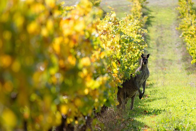 Margaret River 3 Day Escape - Final Thoughts