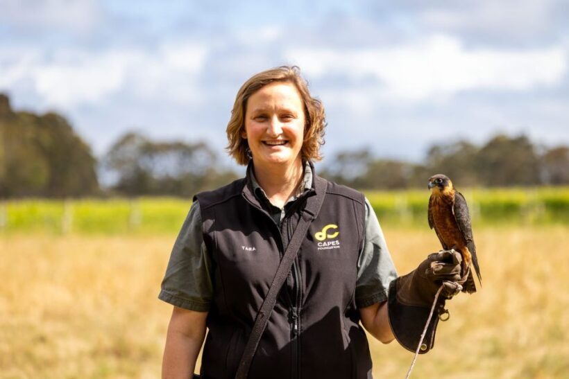 Margaret River: Birds of Prey Encounter and Forest Walk - Who Will Love This Tour?