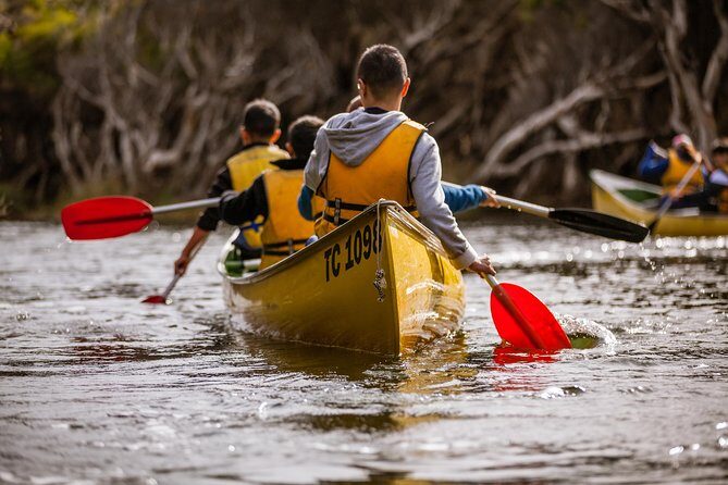 Margaret River Canoe Tour Including Lunch - Key Points