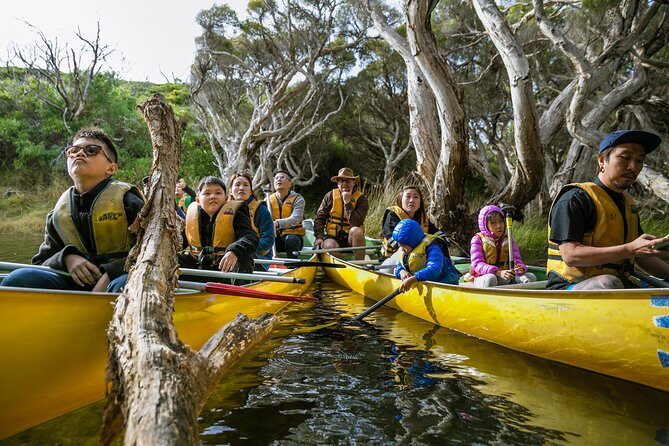 Margaret River Canoe Tour Including Lunch - What Makes This Tour Special?