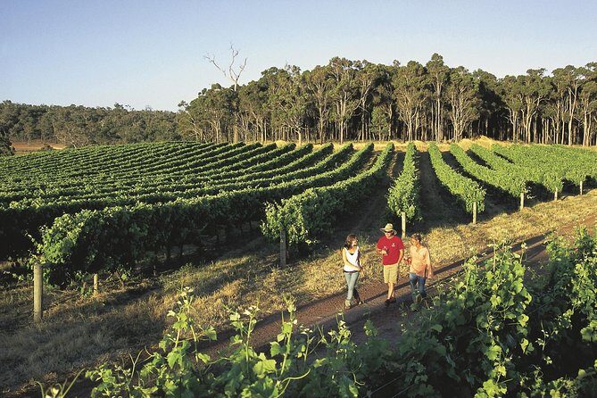 Margaret River, Caves, Wine and Cape Leeuwin Lighthouse Tour from Perth - Exploring Margaret River’s Natural Marvels