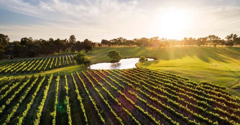 Margaret River, Chocolate, Wine & Coast Day Trip from Perth - A Practical Look at the Tour Experience