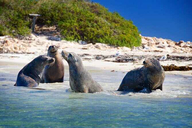 Margaret River Day Tour With Wildlife Cruise & Wine Tasting - The Itinerary in Depth: What to Expect