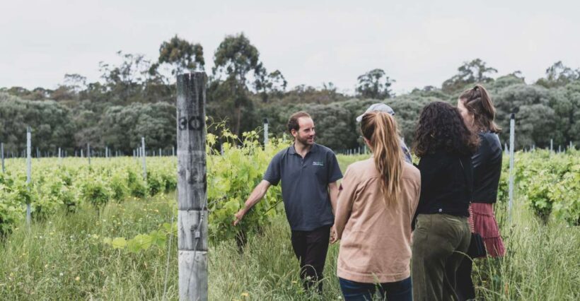 Margaret River Full-Day Wine, Local Produce & Nature Tour - Key Points