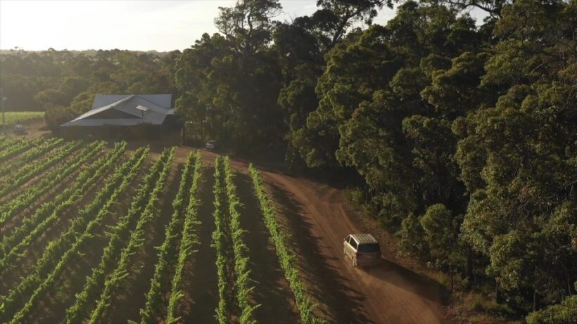 Margaret River Full-Day Wine, Local Produce & Nature Tour - A Deep Dive into the Experience