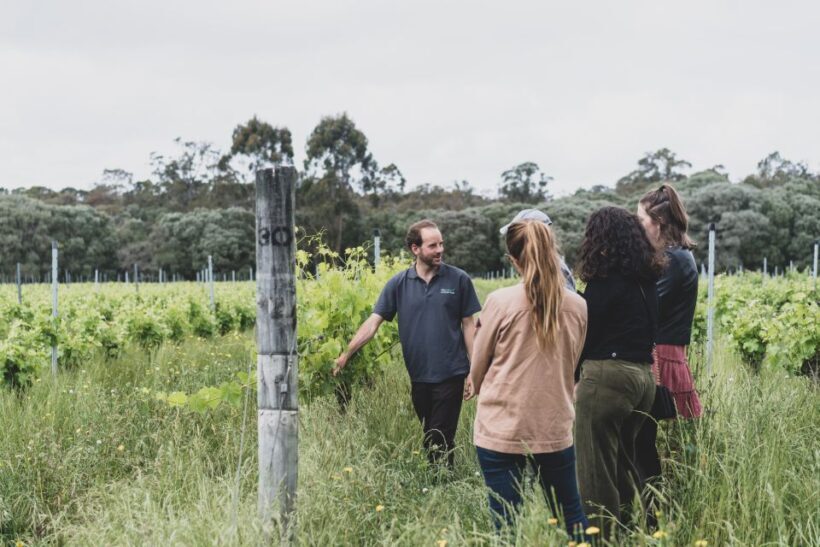 Margaret River Full-Day Wine, Local Produce & Nature Tour - Scenic Beauty & Unique Locations