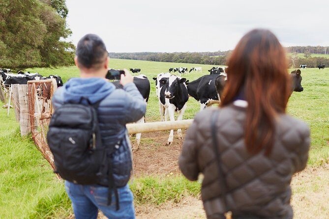 Margaret River Indulge and Discover Day Tour - Considerations and Who This Tour Suits Best