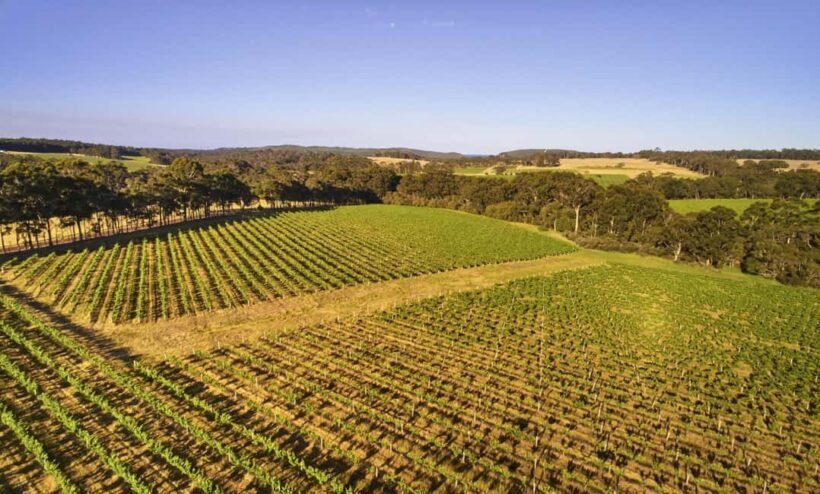 Margaret River: Leeuwin Estate Winery Art and Wine Tasting - Analyzing the Value