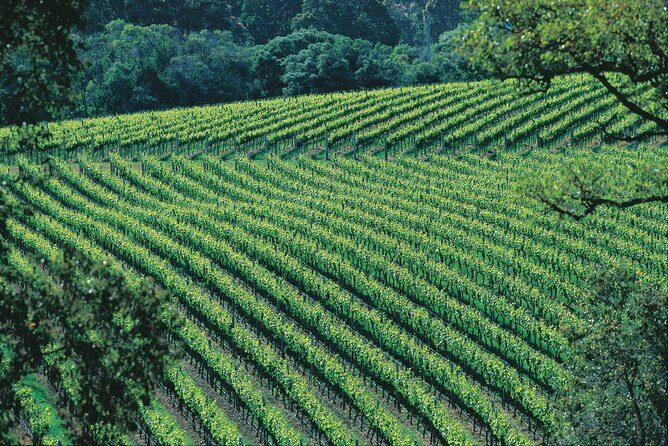 Margaret River Private Tour - An Authentic Full-Day Journey Through Margaret River