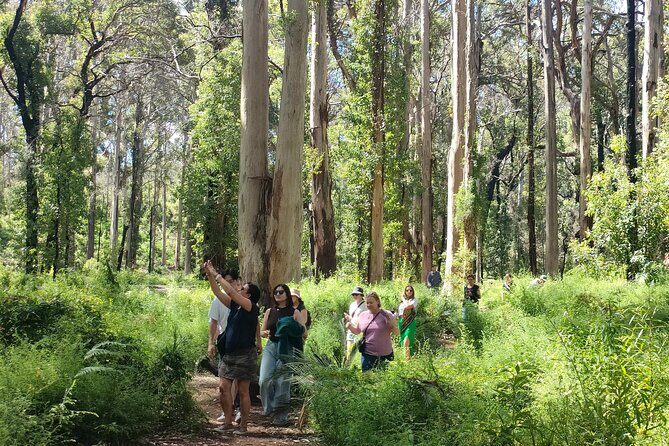 Margaret River Region Impression Day Tour from Perth - Who Will Love This Tour?