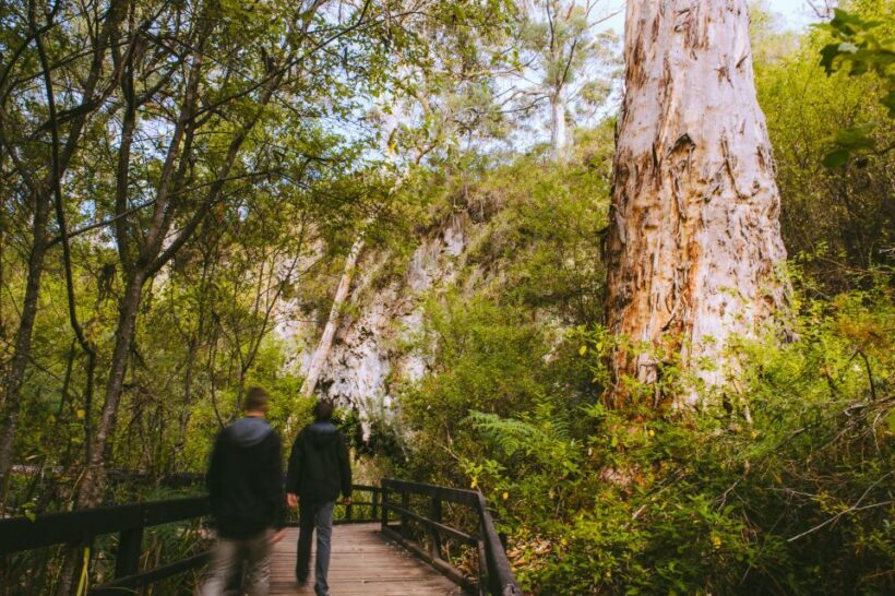 Margaret River: Self-Guided Audio Tour of Mammoth Cave - Key Points