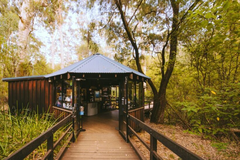 Margaret River: Self-Guided Audio Tour of Mammoth Cave - An Introduction to the Mammoth Cave Tour Experience