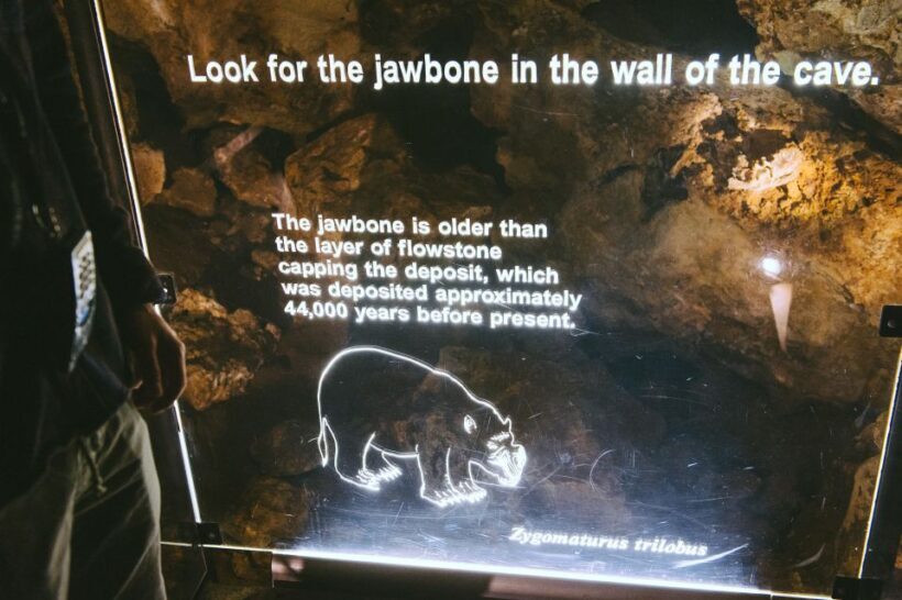 Margaret River: Self-Guided Audio Tour of Mammoth Cave - Who Will Love This Tour?