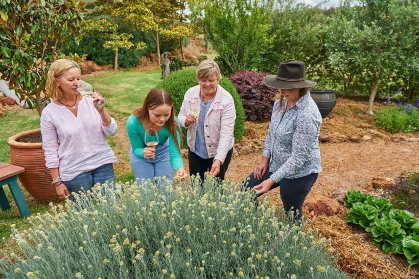 Margaret River: Whicher Ridge Immersive Wine Experience - Key Points