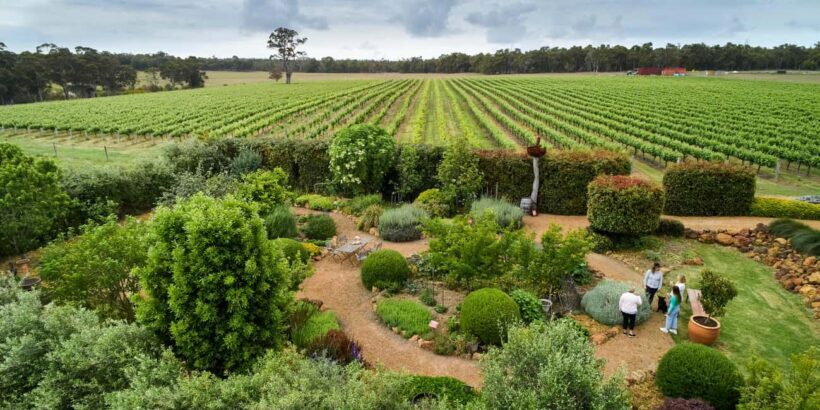 Margaret River: Whicher Ridge Immersive Wine Experience - Who Will Love This Experience?