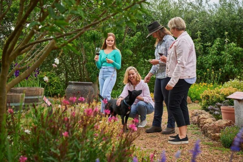 Margaret River: Whicher Ridge Immersive Wine Experience - The Sum Up