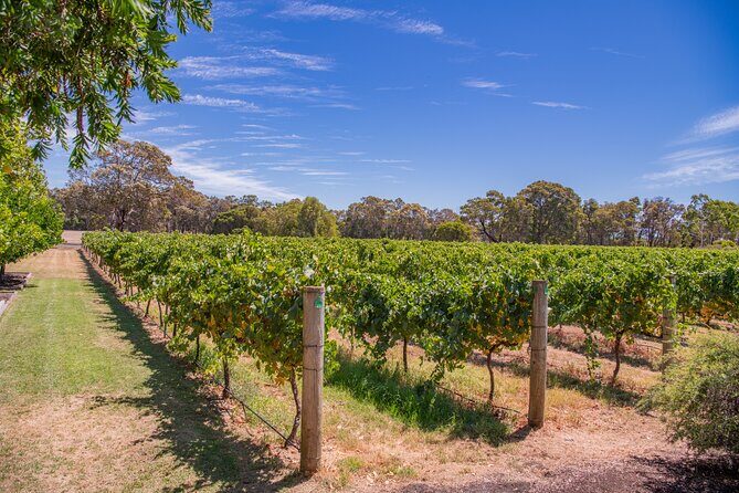 Margaret River Wine and Beer Discovery Tour - Who Should Consider This Tour?