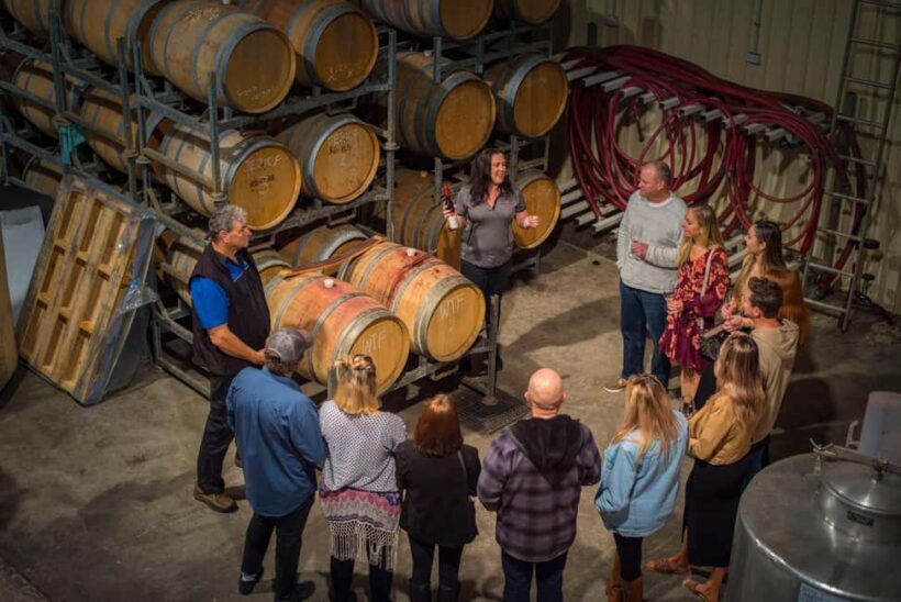 Margaret River: Winery Tour with Lunch and Brewery Visit - Analyzing the Experience: What You Can Expect