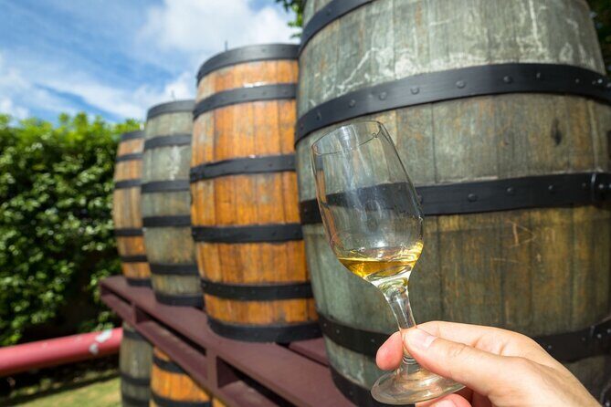 Margaret Rivers Wine & Chocolate Odyssey: Private Tour - Exploring the Margaret River Private Tour in Depth