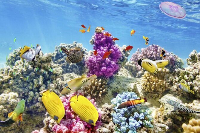 Margaritaville/Jeski Tour or Snorkeling in Montego Bay - An In-Depth Look at the Tour Experience